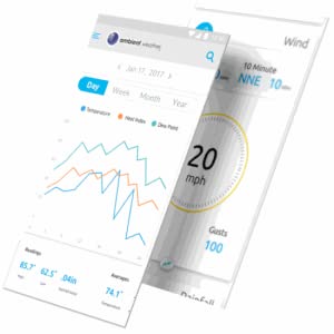 Ambient Weather WS-2902D 8-in-1 Smart Weather Station • South Africa